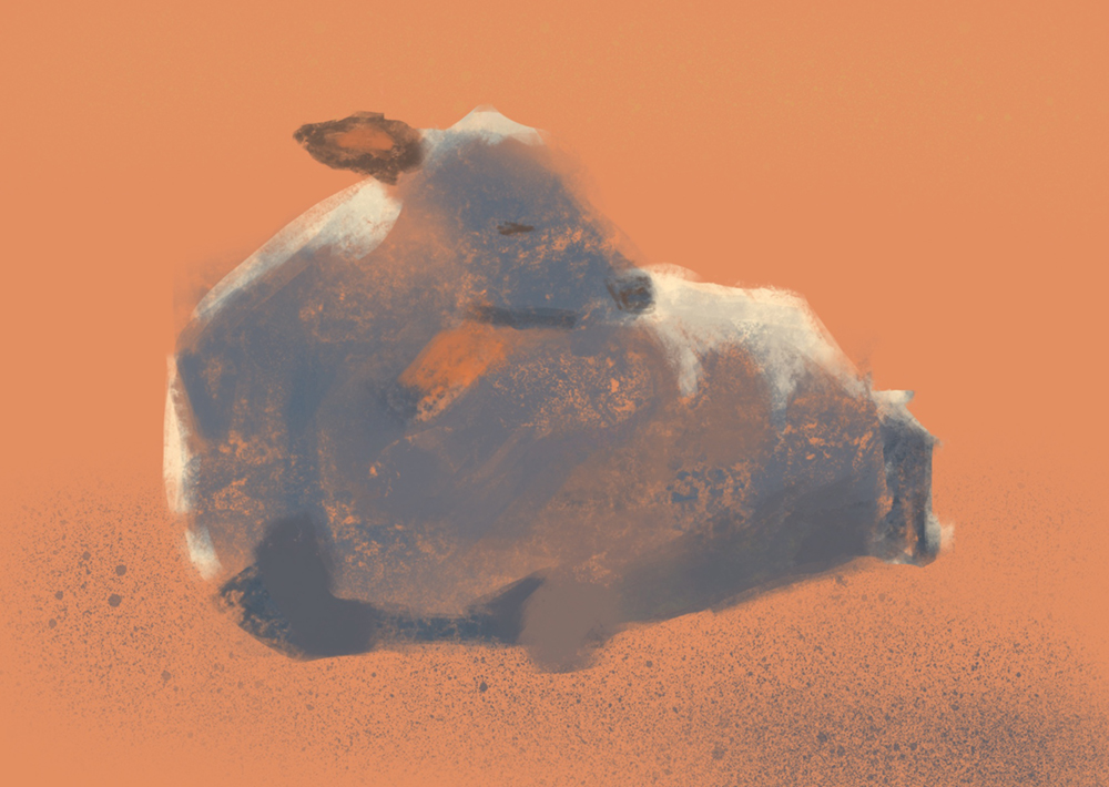 Red Calf – Sketchbook