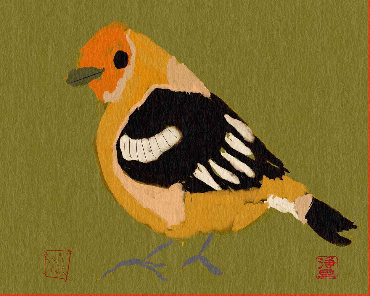 Western Tanager Collaboration – Sketchbook